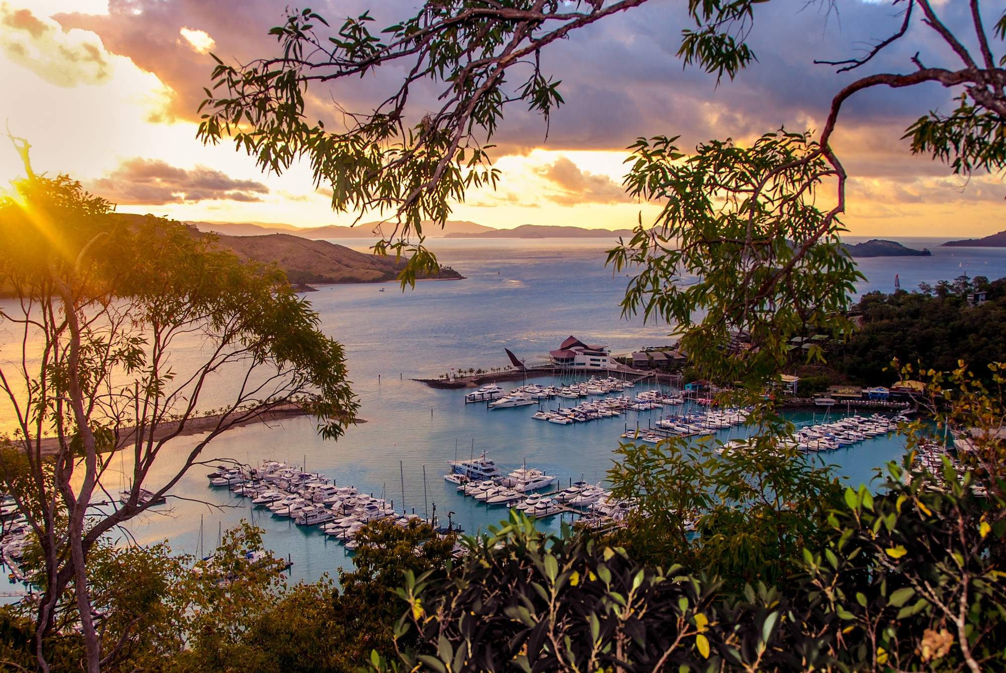 Hamilton Island Art Classes | The Whitsundays