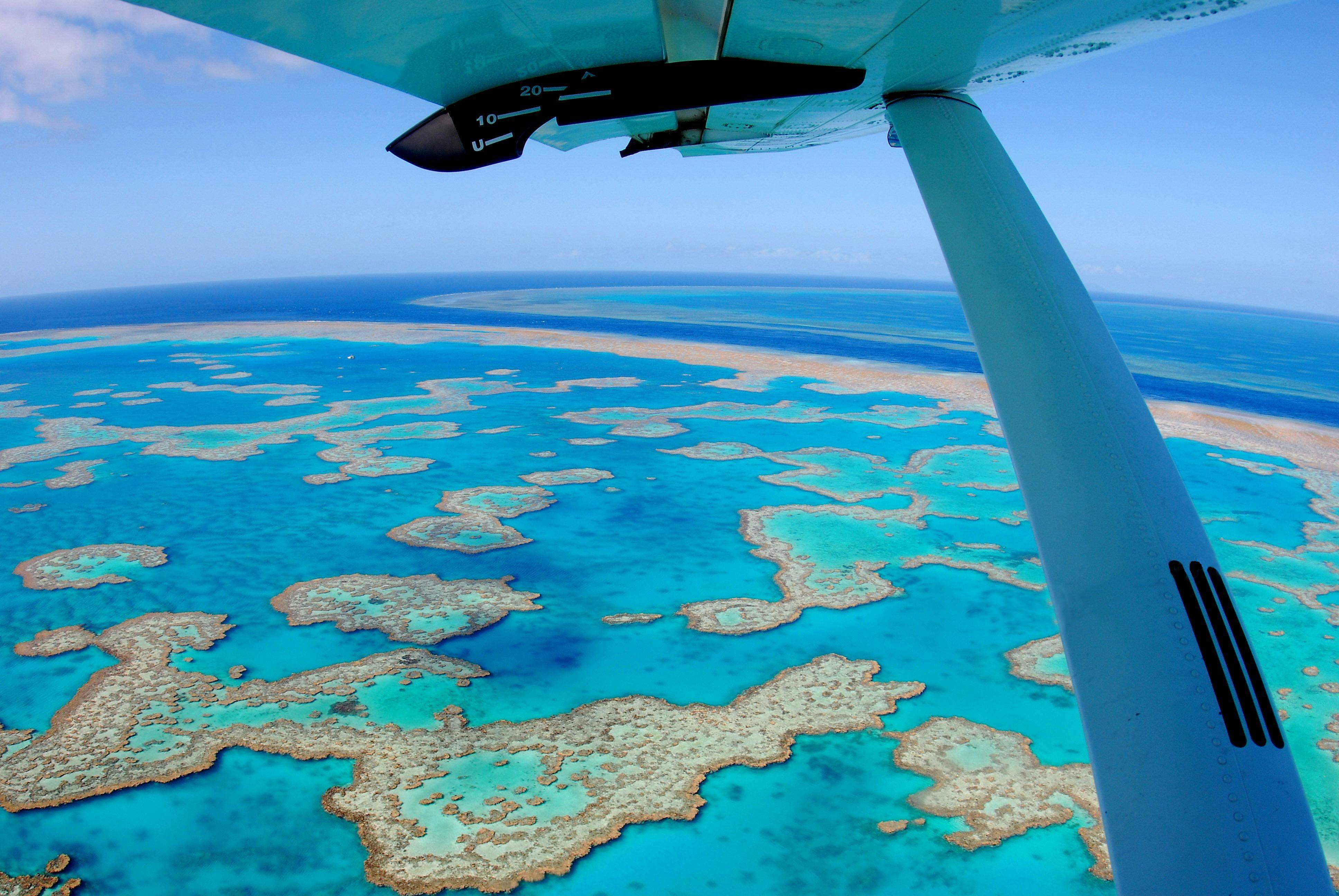 Hardy Reef | The Whitsundays