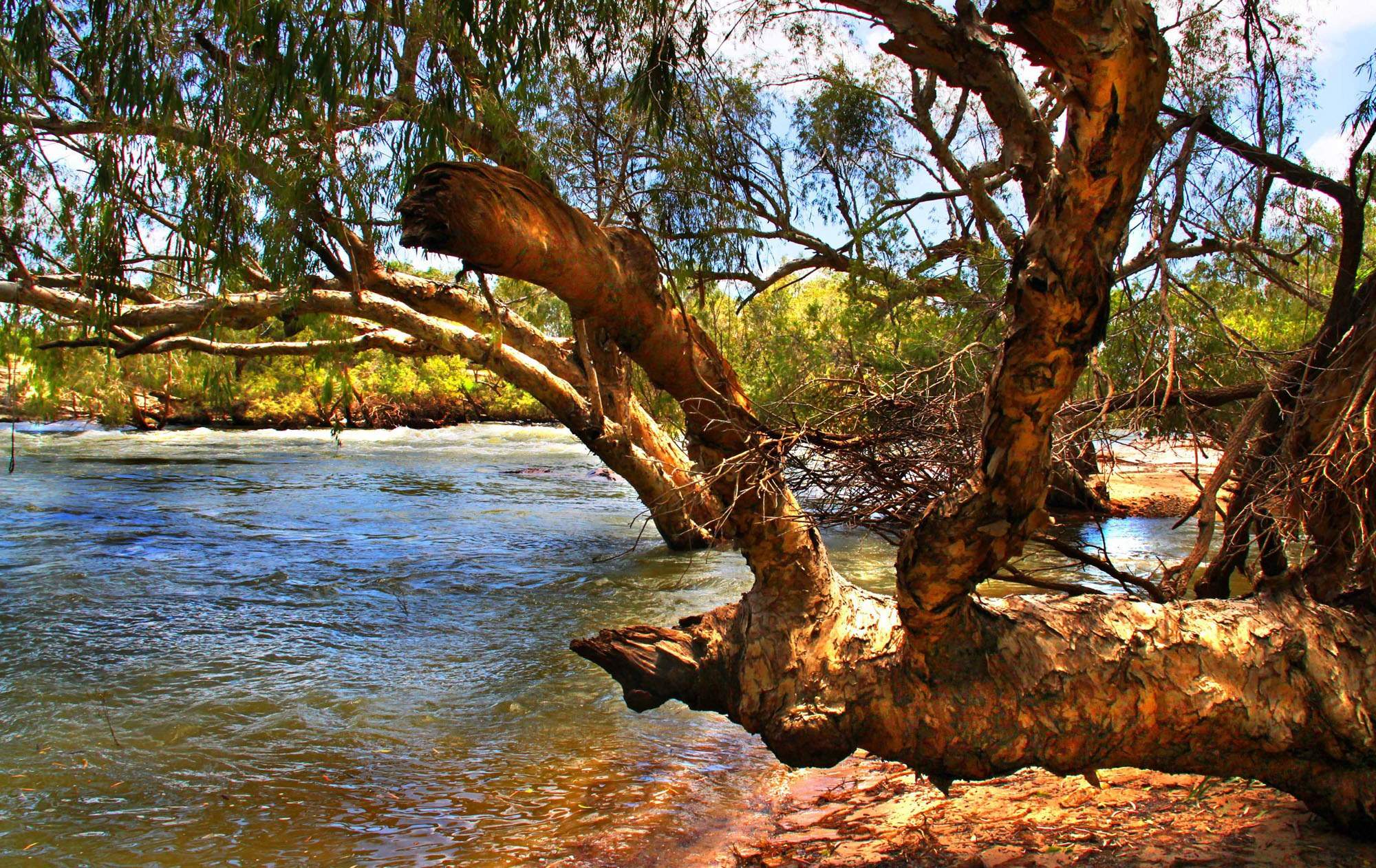 Collinsville | Accommodation & Things to Do | The Whitsundays